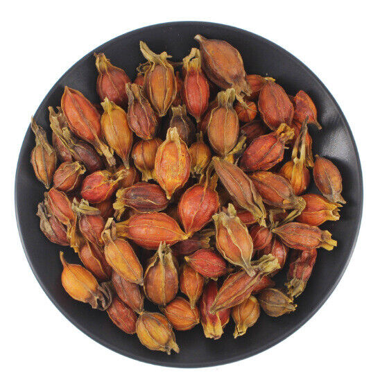 Gardenia Fruit Red Gardenia Dried Yellow Gardenia 500g – CIFbuy.com