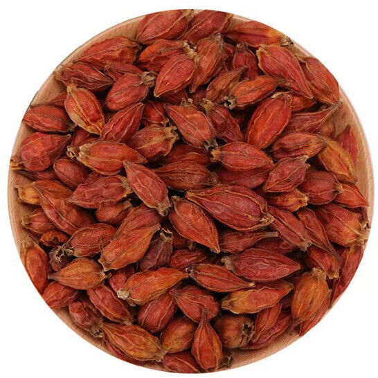 Gardenia Fruit Red Gardenia Dried Yellow Gardenia 500g – CIFbuy.com