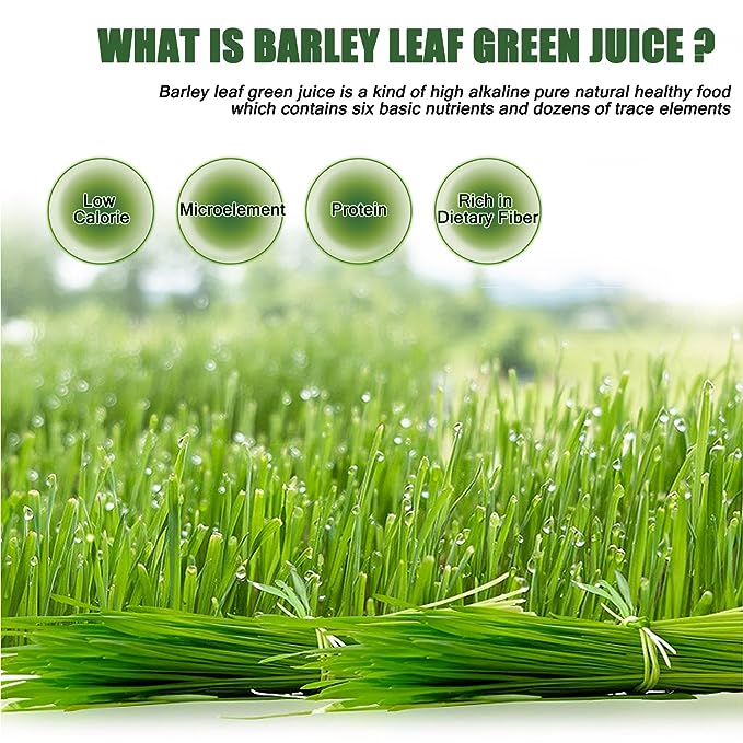 Organic Barley Grass Powder original 250g barley grass official store ...
